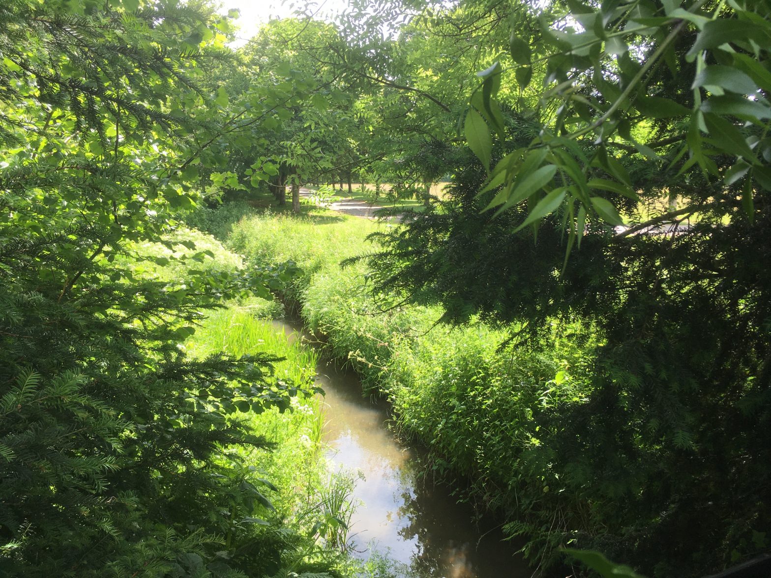 Project Ripple Effect A Waterways Resilience Initiative
